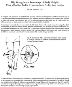 The Toe/Hip Strength Dynamometer - Human Locomotion