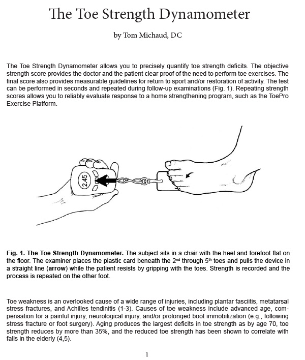 The Toe/Hip Strength Dynamometer - Human Locomotion