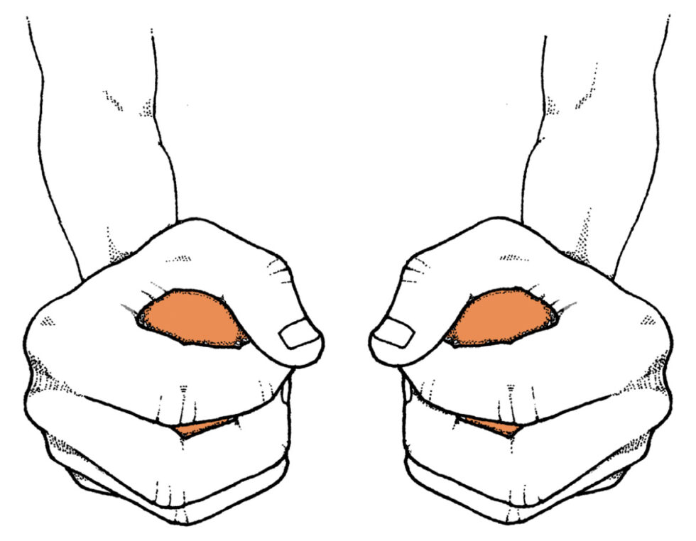 Novel Exercises and Stretches for Managing High Blood Pressure - Human ...