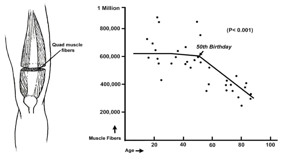 The Sarcopenia Workout: Five Simple Exercises to Prevent Age-Related ...