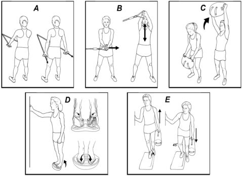 The Sarcopenia Workout: Five Simple Exercises to Prevent Age-Related ...