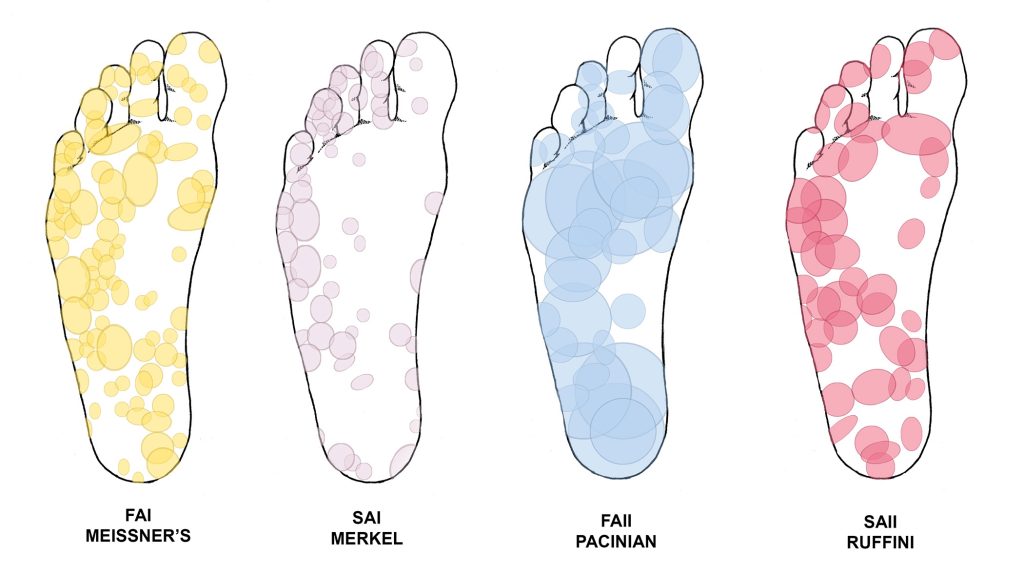 Balance ButtonsHow Stimulating Specific Locations on the Bottom of Your ...