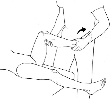Popliteus Tendinitis: Biomechanical Factorsand Conservative Treatment ...