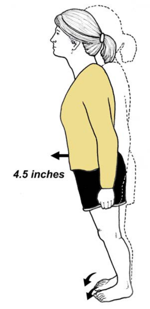 The Human Locomotion Fall Prevention Protocol - How to Create a ...