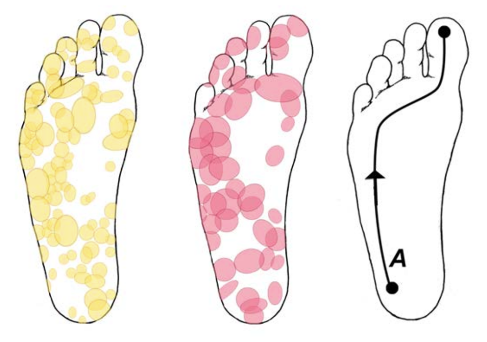 The Human Locomotion Fall Prevention Protocol - How to Create a ...