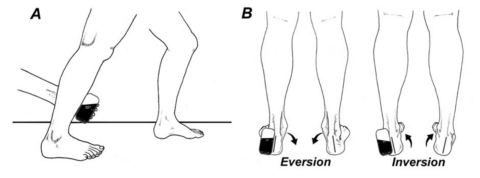 The Human Locomotion Fall Prevention Protocol - How to Create a ...