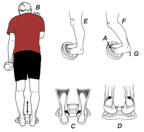 The Human Locomotion Fall Prevention Protocol - How to Create a ...