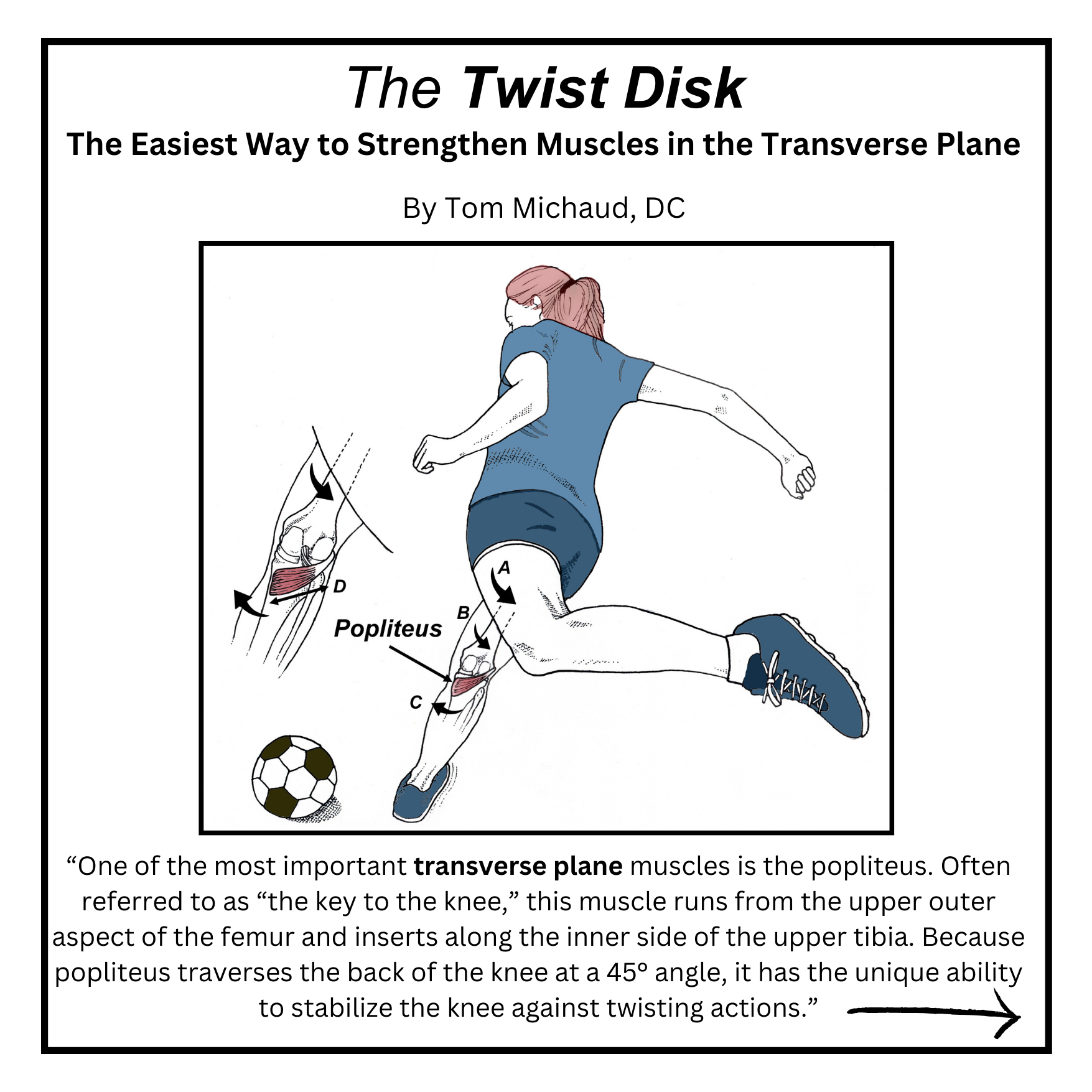 The Twist Disk: The Easiest Way to Strengthen Muscles in the Transverse ...