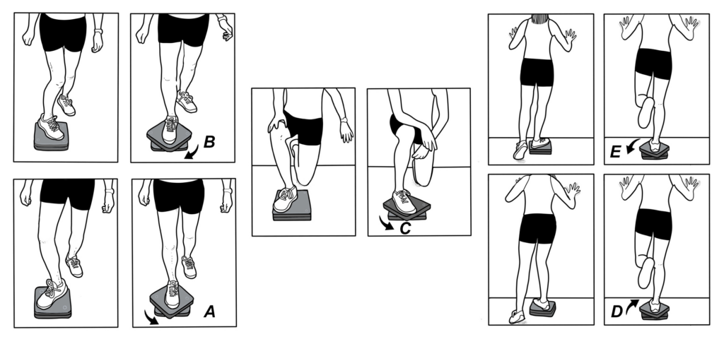The Twist Disk: The Easiest Way to Strengthen Muscles in the Transverse ...