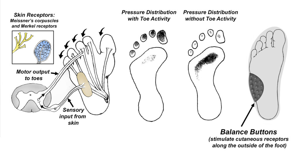 Understanding Peripheral Neuropathy: Why Alternative Therapies Are ...
