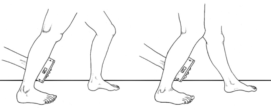 Kinoshita M, et al. Triceps surae muscle hypertrophy is greater after ...
