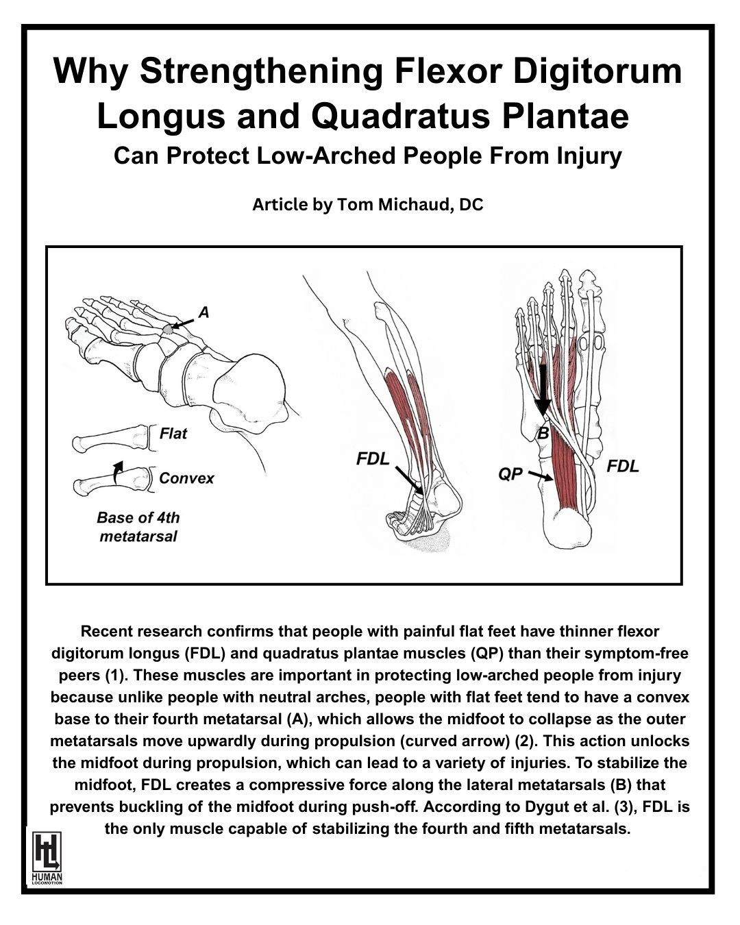 Arch Height and Injury: Is There Really No Connection? - Human Locomotion