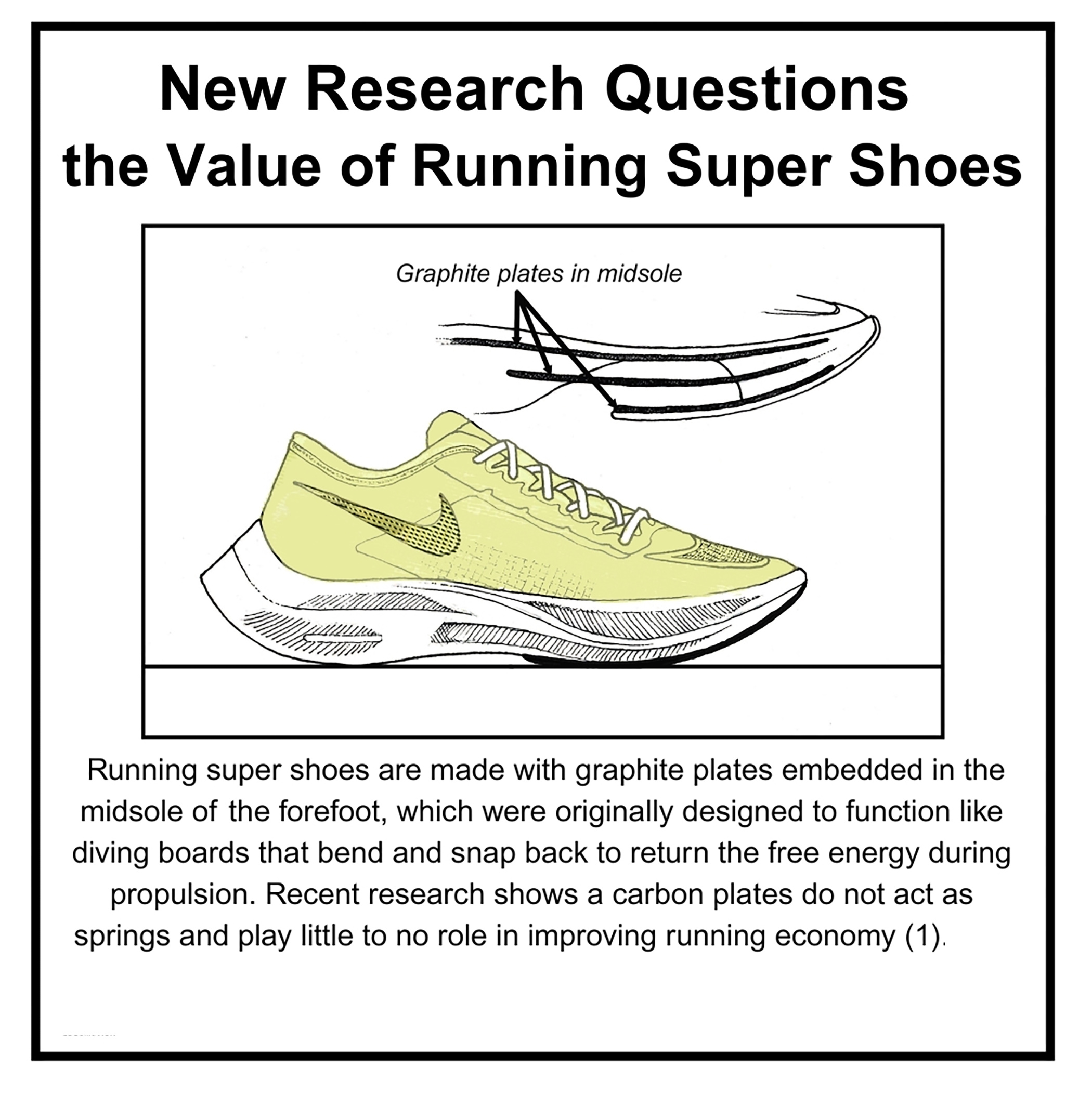 New Research Questions the Value of Running Super Shoes - Human Locomotion